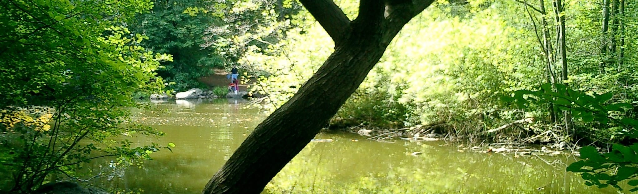 Habitat Audubon Wildlife Sanctuary Trail: 241 Reviews, Map ...