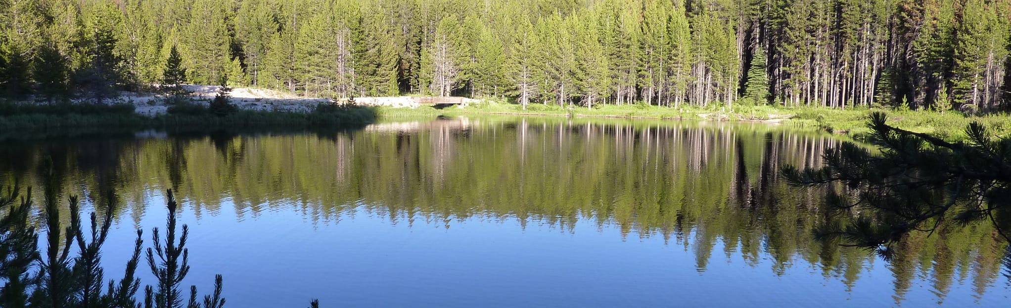 Ruby Meadows , Idaho - 5 Reviews, Map | AllTrails