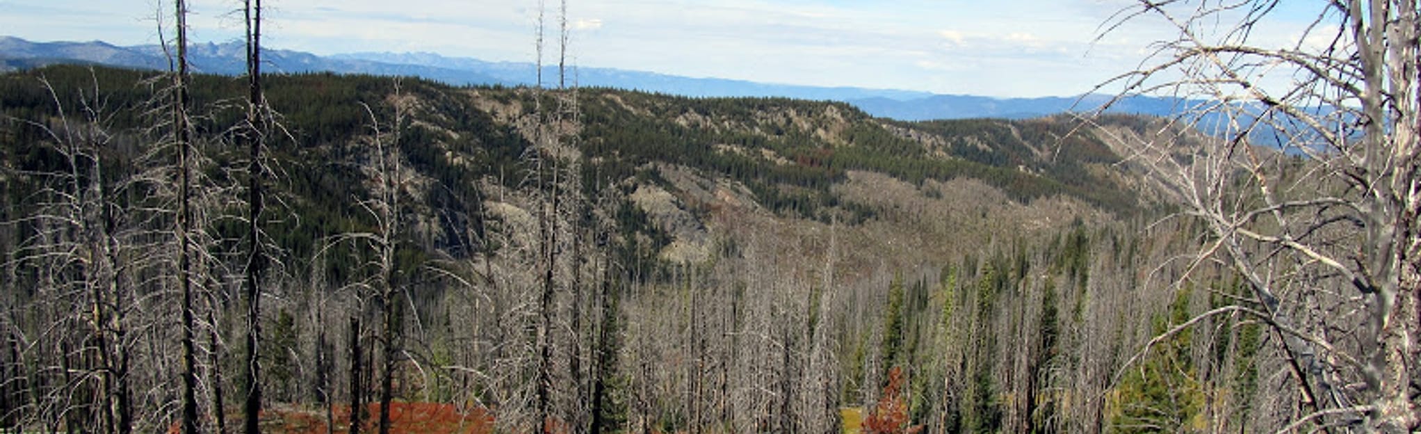 Sherman, Howe, and Golden Anchor Mines OHV Trail, Idaho - Map, Guide ...