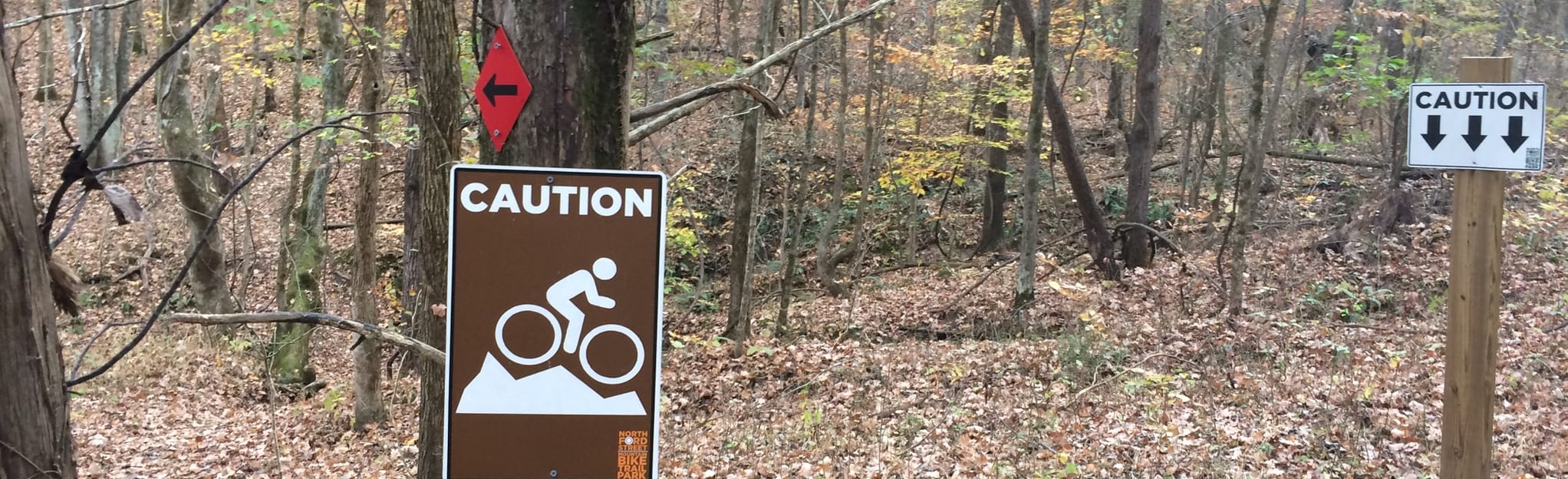 North Ford Mountain Bike Trail, Tennessee - 20 Reviews, Map | AllTrails