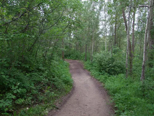 10 Best Trails and Hikes in Edmonton | AllTrails
