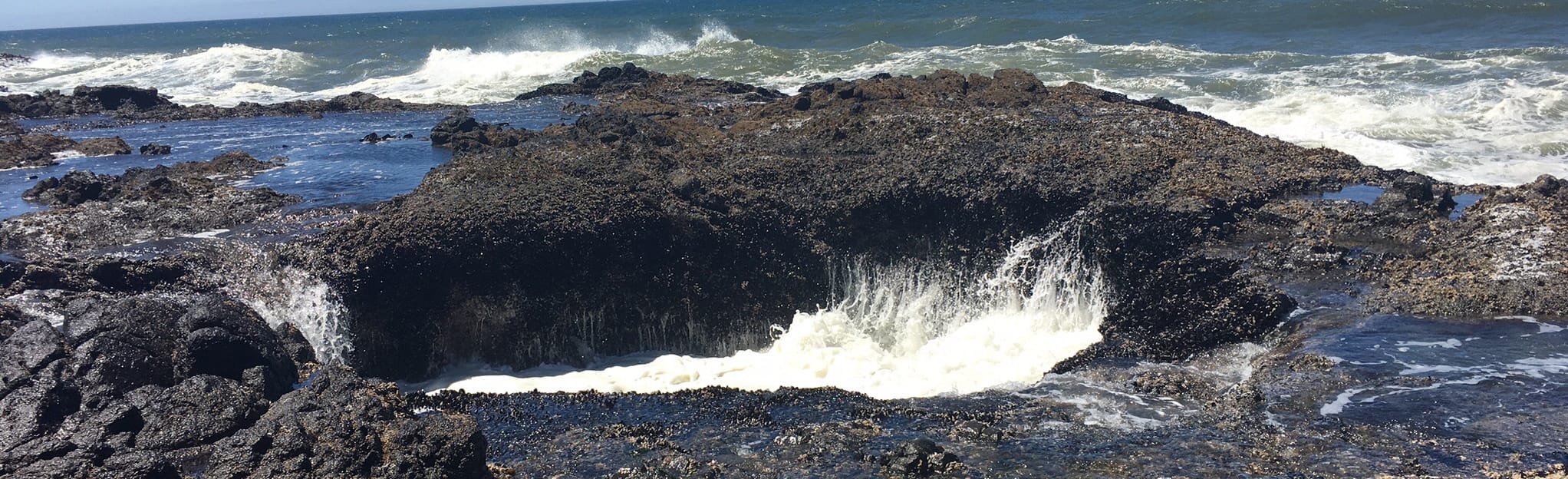 Captain Cook Trail and Thor's Well | Mappa, Guida - Oregon | AllTrails