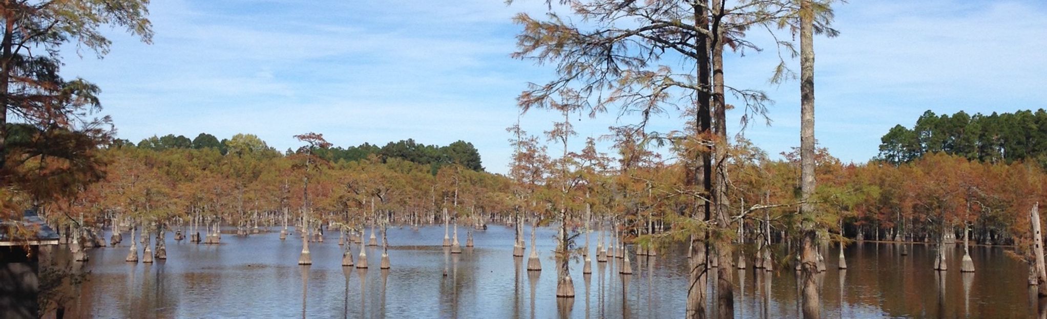 Deer Run Trail, Georgia - 165 Reviews, Map | AllTrails