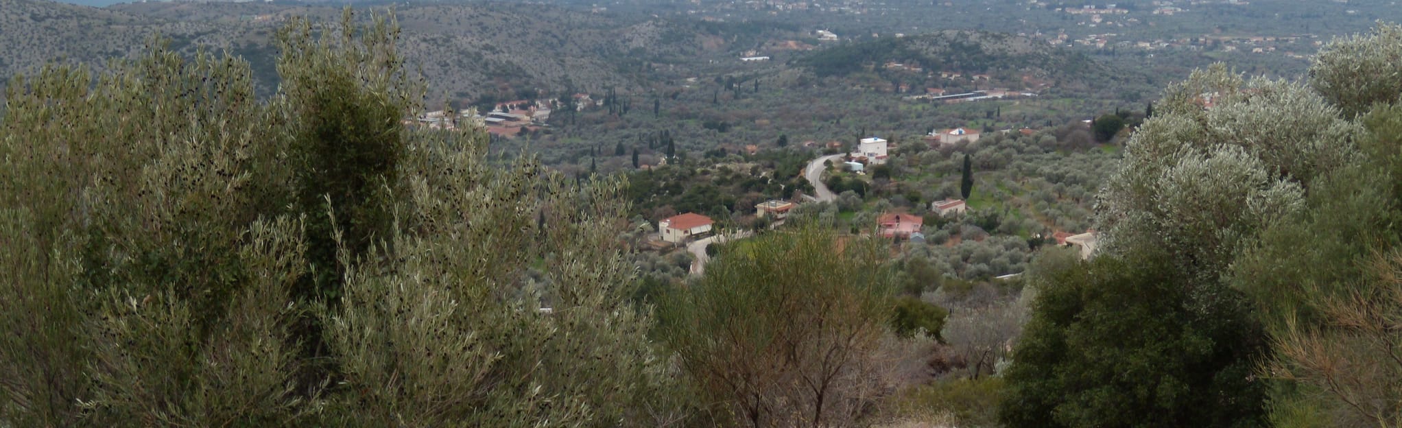 Chios (Chora) - Dafnonas, Chios, Greece - Map, Guide | AllTrails