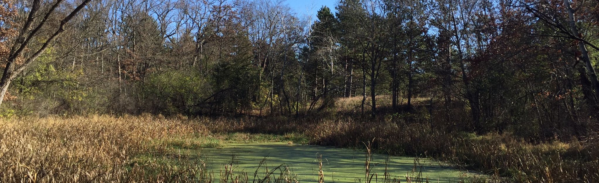 Emma Carlin Trails: Orange Loop, Wisconsin - 377 Reviews, Map | AllTrails