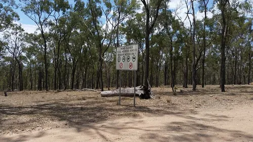 Best Hikes and Trails in Benarkin State Forest | AllTrails