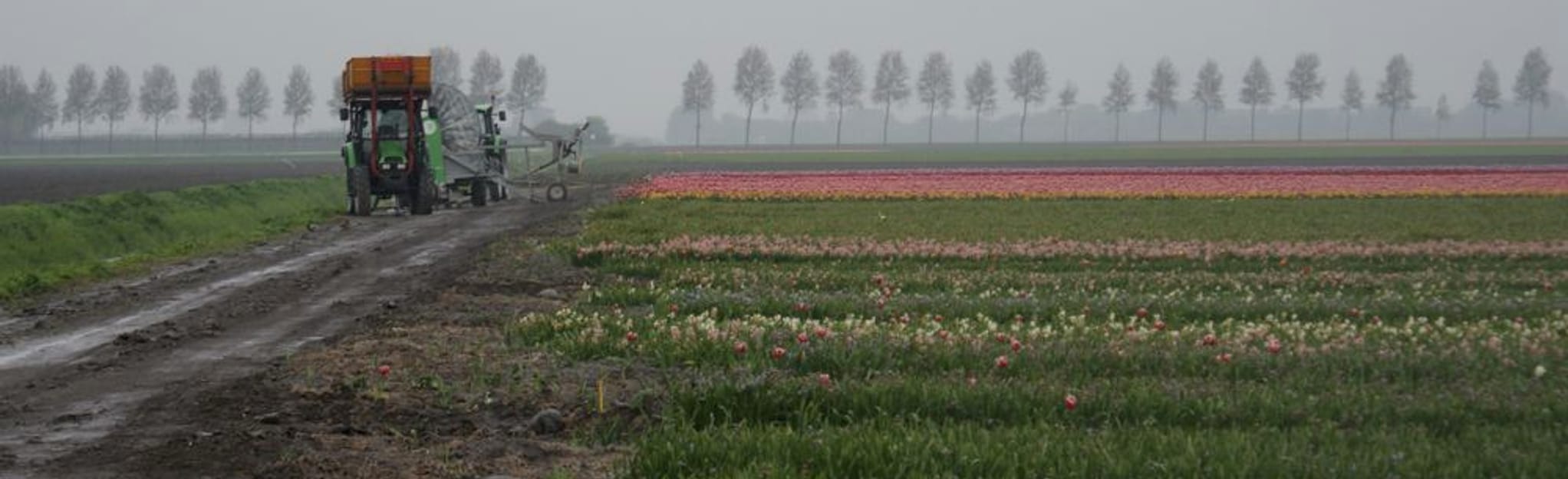 Landgoed de Olmenhorst - Abbenes: 3 Reviews, Map - North Holland ...