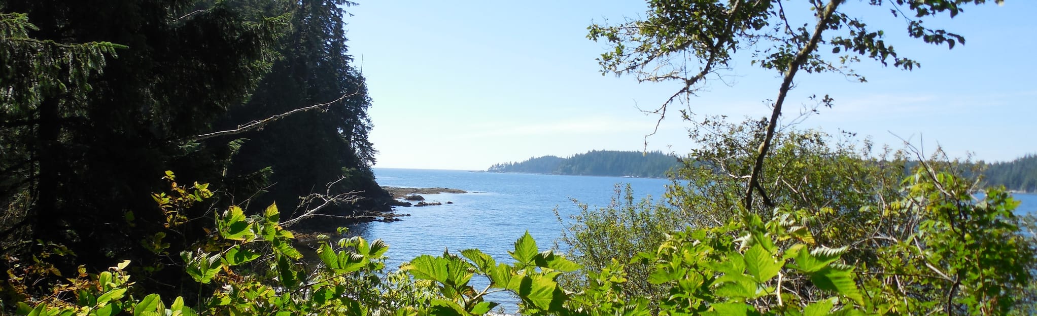 West Coast Trail: Pachena Bay to Michigan Creek: 50 Reviews, Map ...