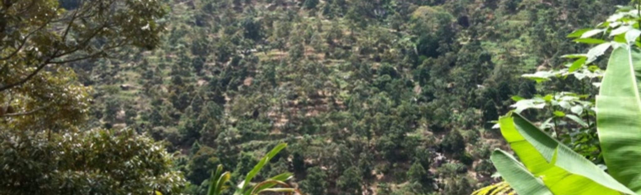 Titi Kerawang - Sungai Rusa Loop, Penang, Malaysia - 2 Reviews, Map ...