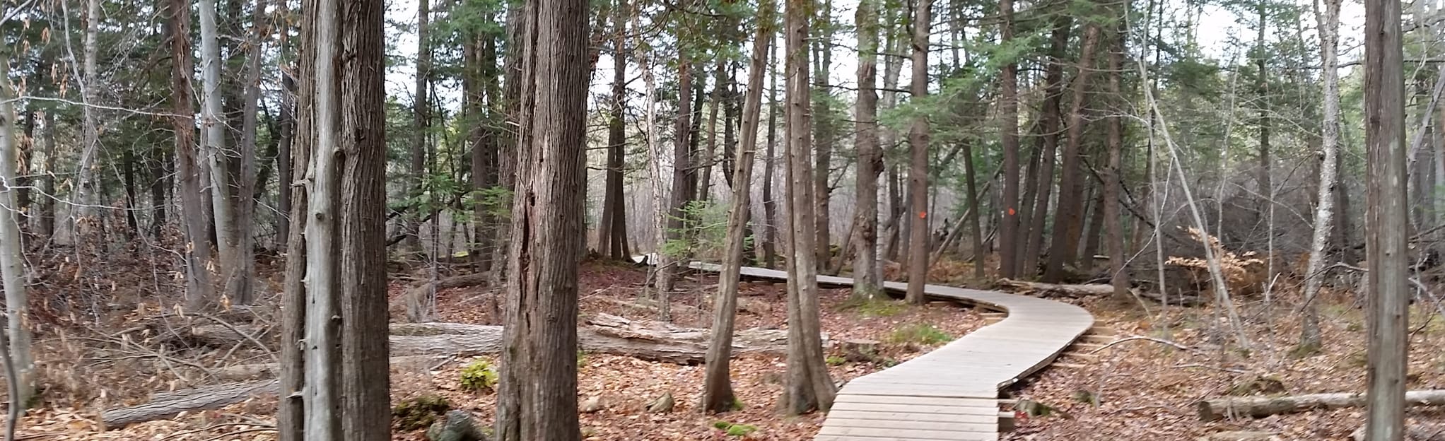 Lookout Point Trail, Ontario, Canada - 593 Reviews, Map | AllTrails