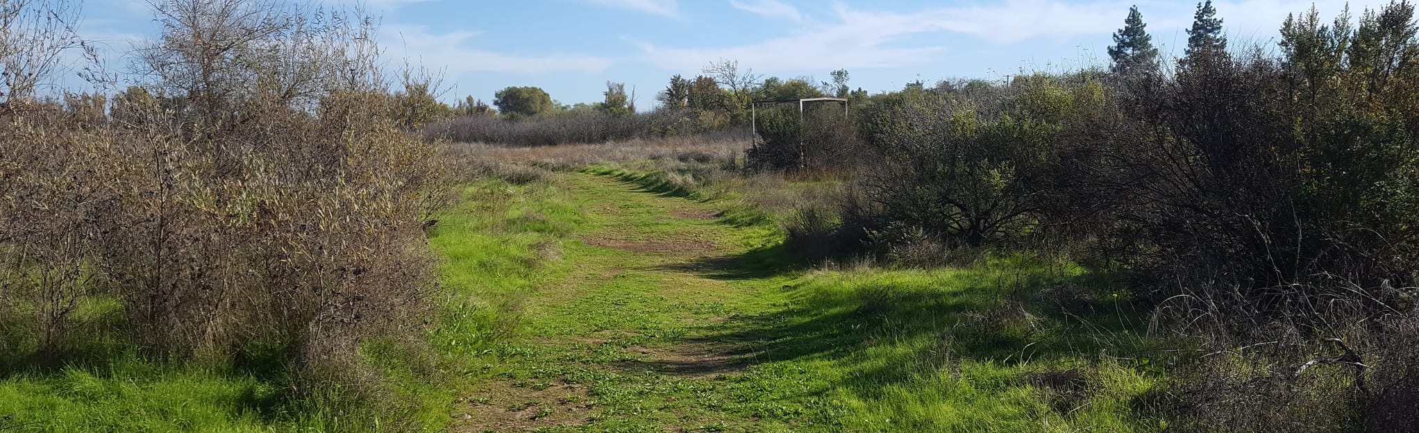 Mather Nature Loops | Map, Guide - California | AllTrails