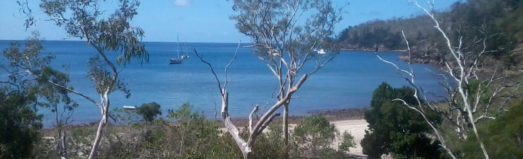 Blue Pearl Bay Track: 7 Reviews, Map - Queensland, Australia | AllTrails