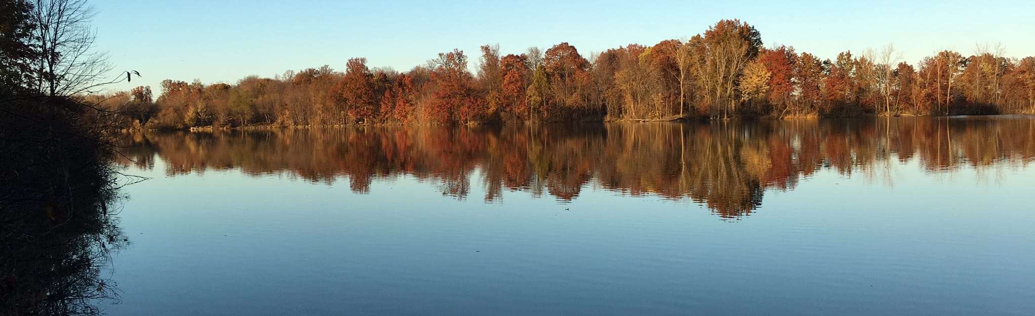 Garlo Nature Preserve, Ohio - 99 Reviews, Map | AllTrails