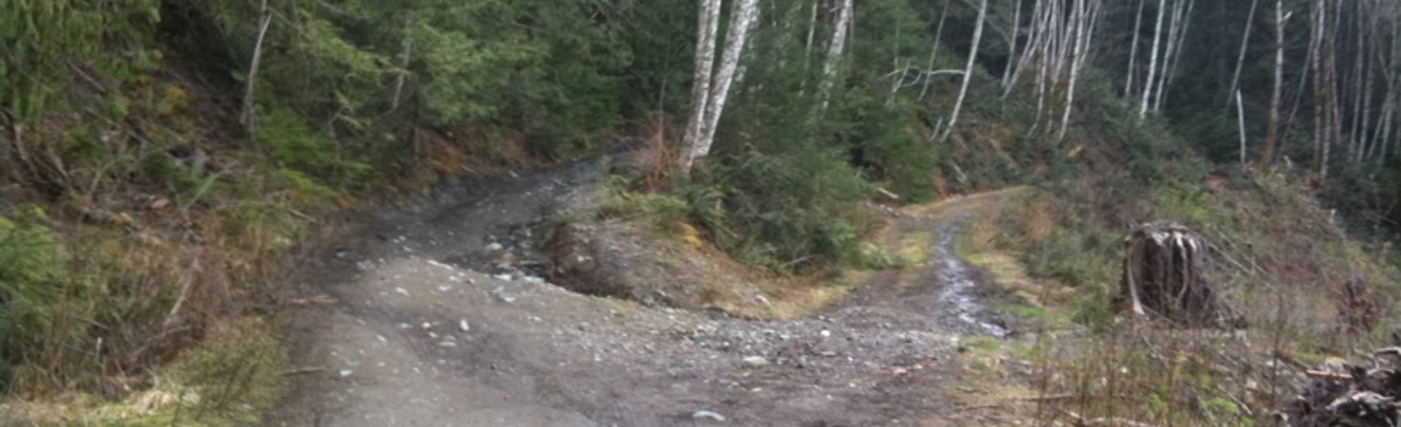 Big Sicker Mountain Mountain-Bike: 5 Reviews, Map - British Columbia ...