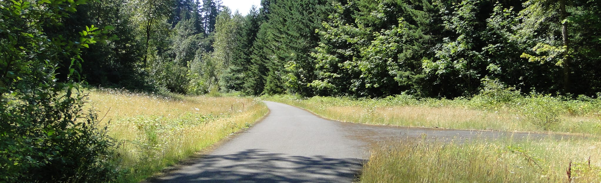 Ruckel Creek Falls Trails: 38 Reviews, Map - Oregon | AllTrails