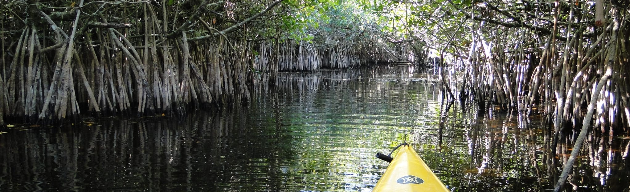 Turner River and Halfway Creek Canoe Trails: 51 Reviews, Map - Florida ...