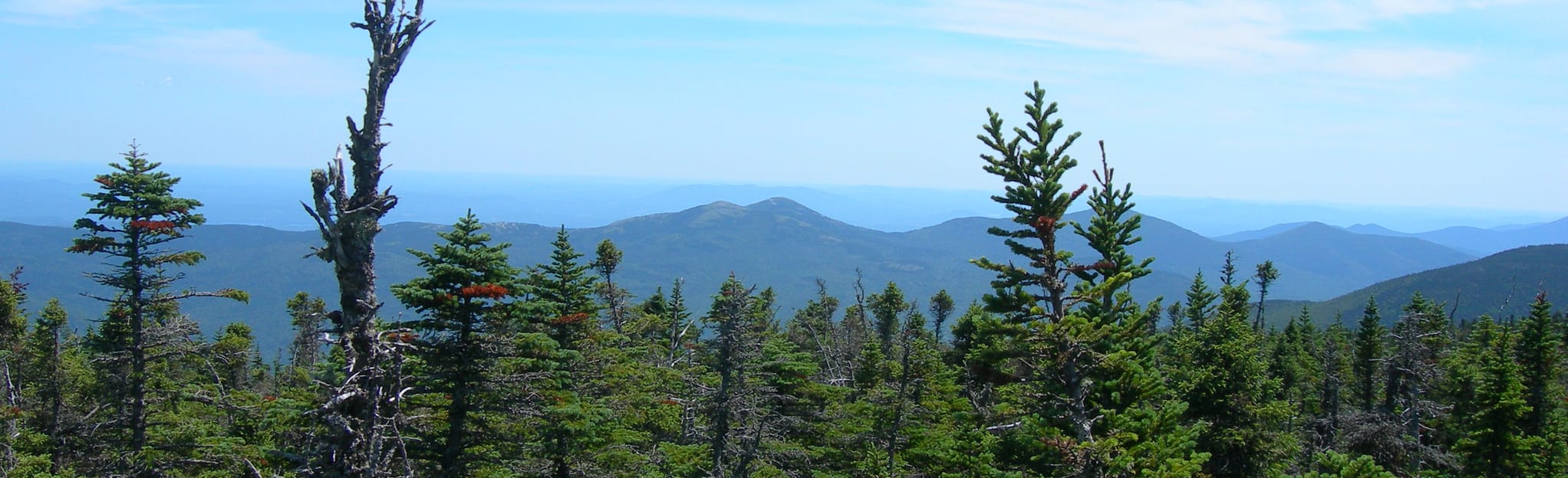 Middle Carter via Imp, North Carter, and Carter-Moriah Trail, New ...