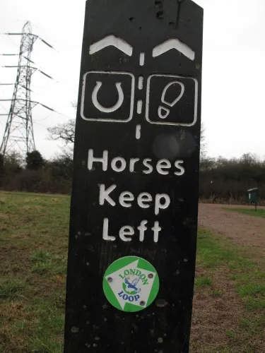 Best Hikes and Trails in Pages Wood | AllTrails