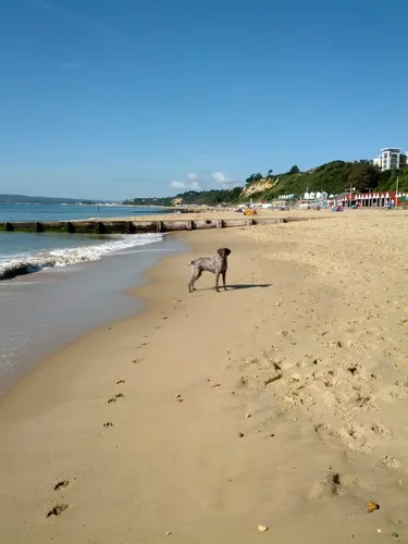 10 Best Walking Trails in Bournemouth | AllTrails