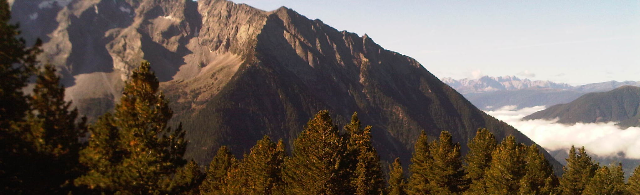 Acereto - Picco Palù: 38 foto - Alto Adige, Italia | AllTrails