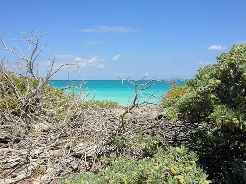 10 Best Trails and Hikes in Tulum | AllTrails