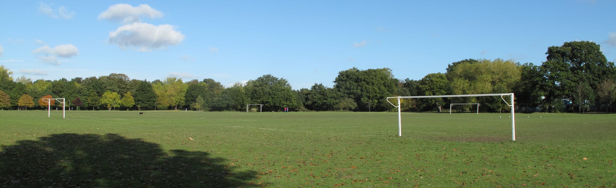 Tooting Bec Common Circular: 29 Reviews, Map - London, England | AllTrails