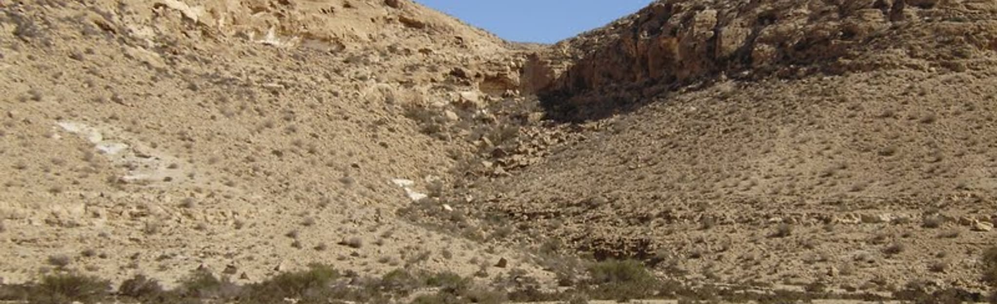 Nahal Boker Farm, Noked Stream, Sde Boker and Nahal Boker - Southern District HaDarom, Israel ...