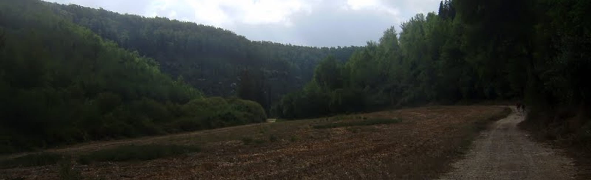 Yokneam, Northern HaZorea Forest and HaShofet Stream: 4 Reviews, Map ...