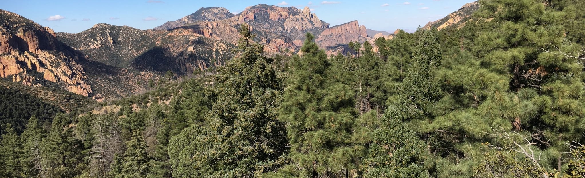 Burro Trail #240, New Mexico - 13 Reviews, Map | AllTrails