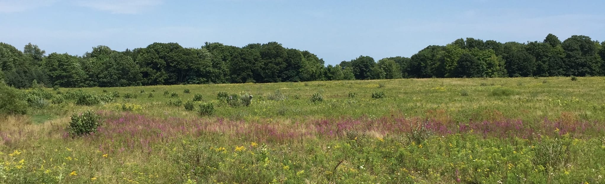 Five Rivers Environmental Education Center Loop Trail - New York ...