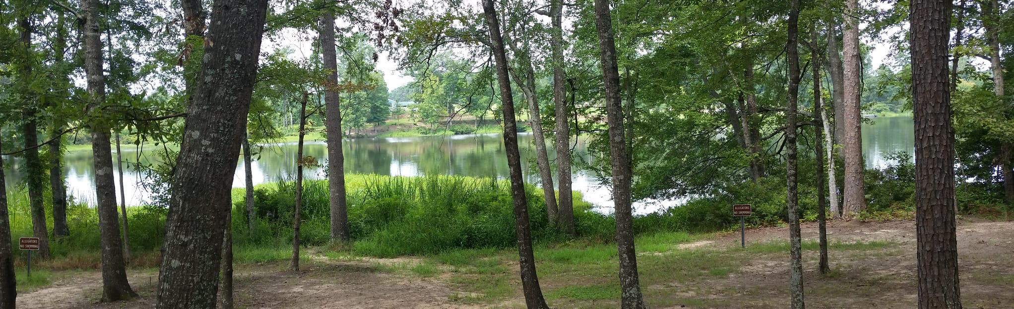 AllTrails | Bringle Lake Advanced Bike Trail: 175 Reviews, Map - Texas