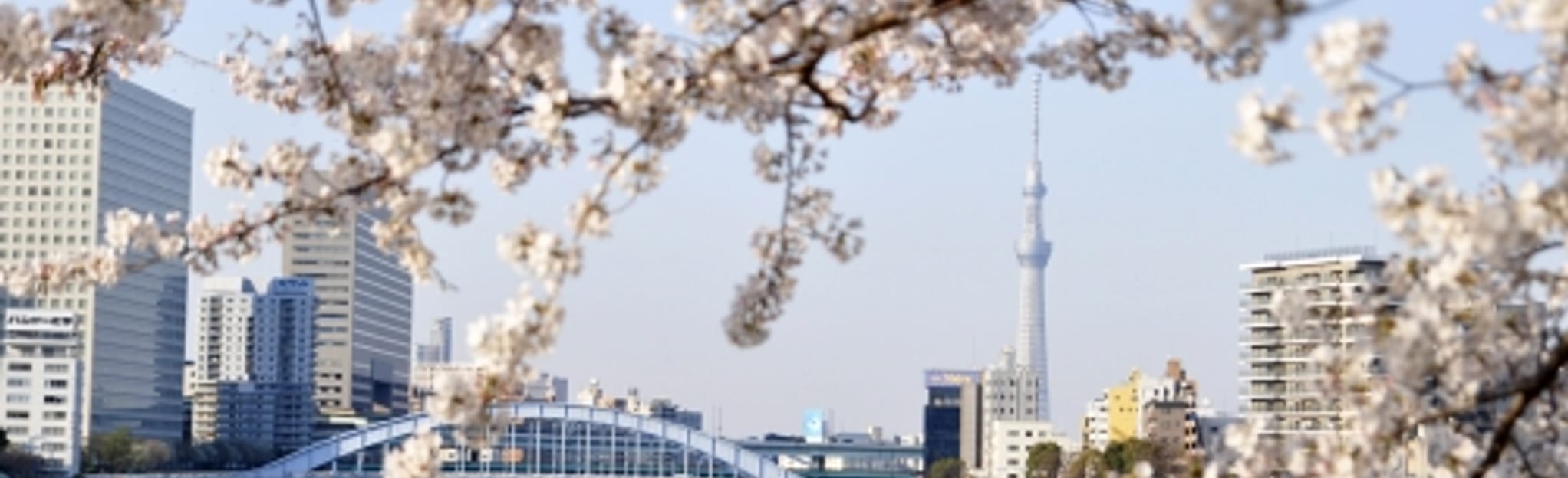 Tsukuda - Sumida River, Tokyo, Japan - Map, Guide | AllTrails