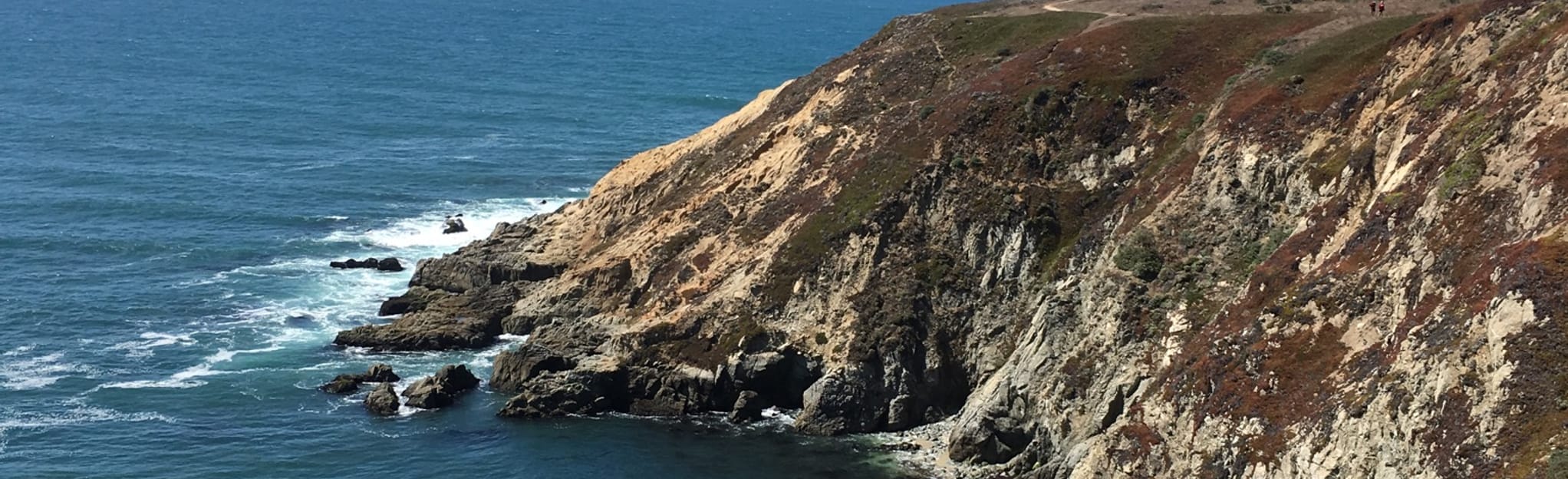 AllTrails | Bodega Head via W Side Rd: 73 Reviews, Map - California