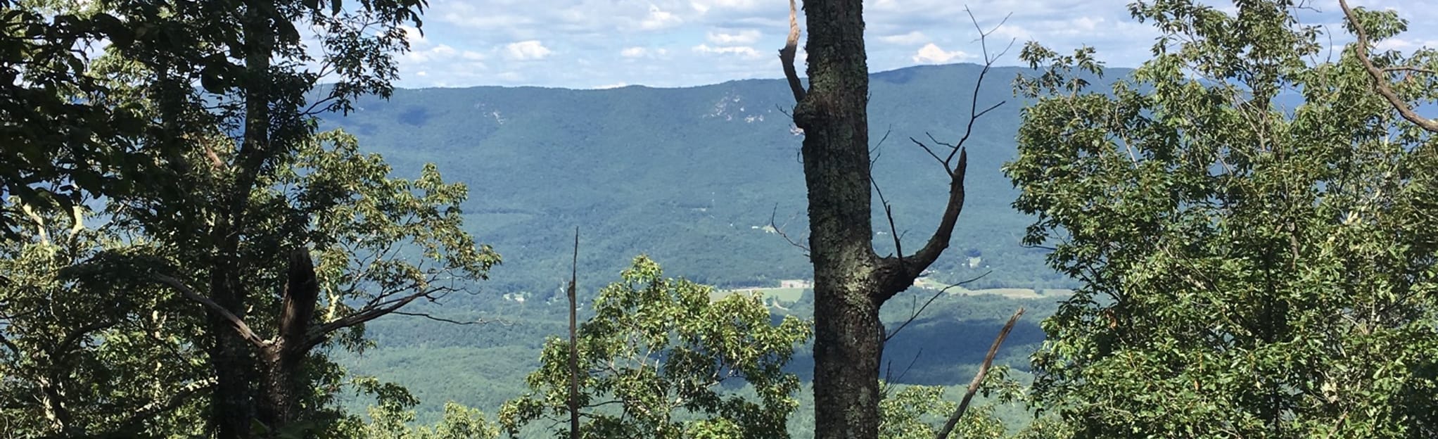 North Mountain Trail, Virginia - 122 Reviews, Map | AllTrails