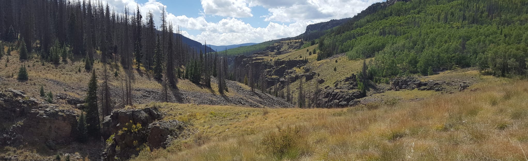 Wheeler Trail, Colorado - 110 Reviews, Map | AllTrails