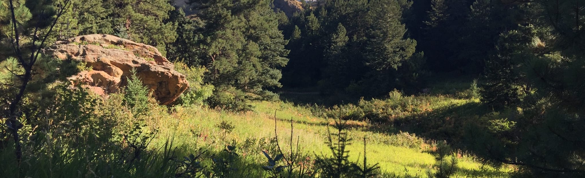 NCAR to Green Mountain, Colorado - 96 Reviews, Map | AllTrails