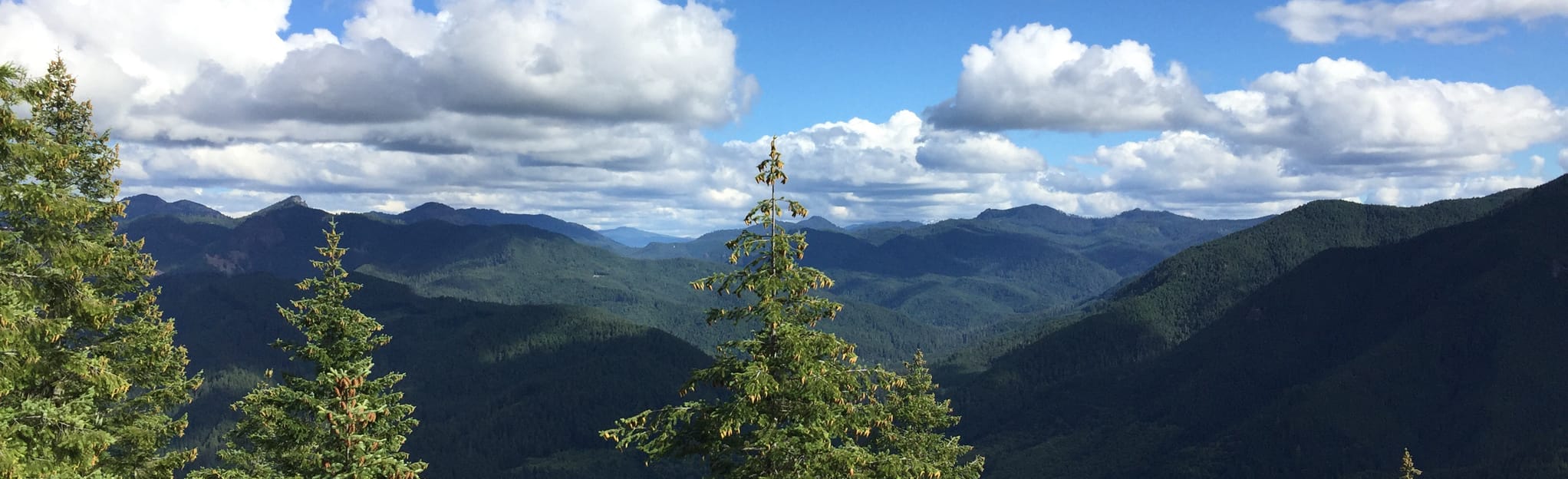 Rooster Rock Trail via East Trailhead, Oregon - 187 Reviews, Map ...
