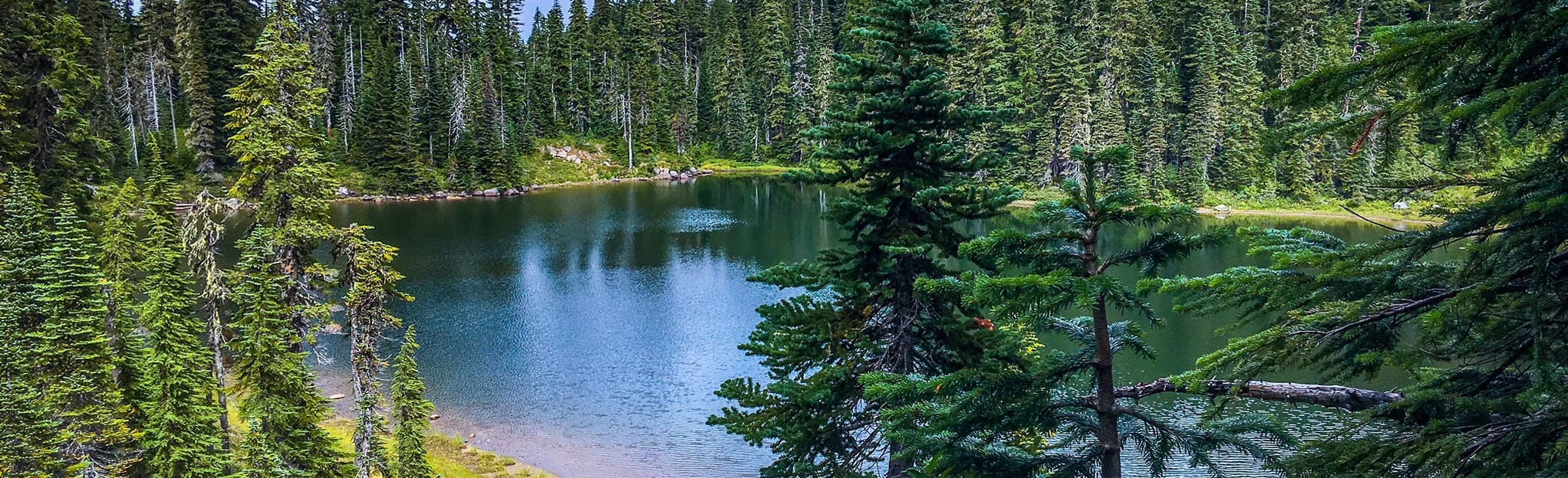 Indian Heaven Trail to Lake Wapiki, Washington - 184 Reviews, Map ...