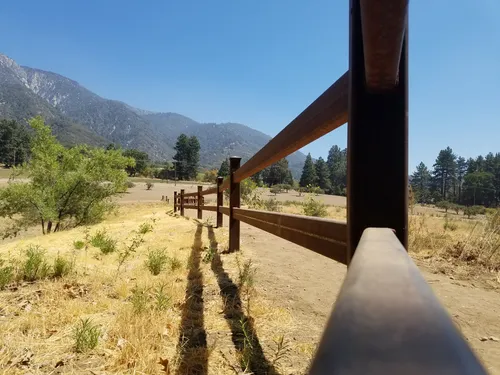 10 Best Trails and Hikes in Forest Falls | AllTrails