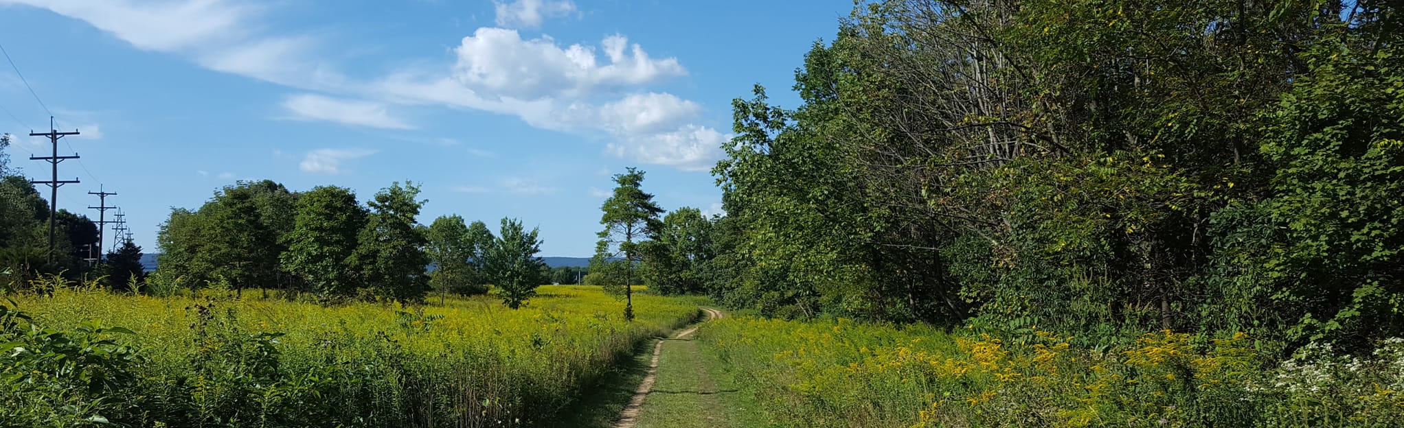 Henry's Woods and Jacobsburg Trail: 445 Reviews, Map - Pennsylvania ...