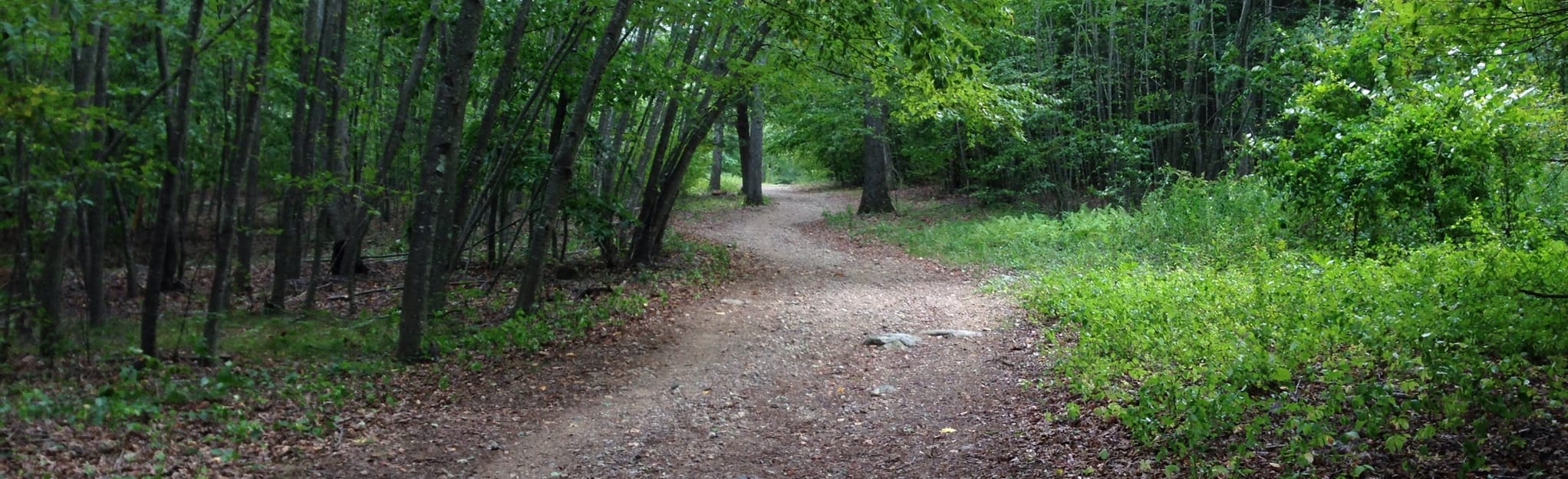 Machimoodus State Park Trail, Connecticut - 785 Reviews, Map | AllTrails