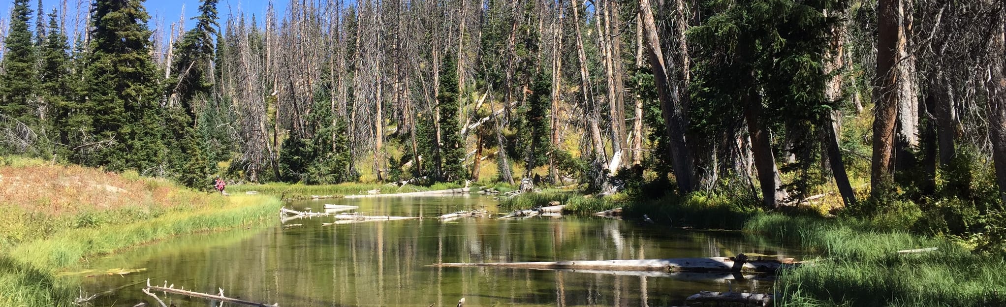 Alpine Pond North Loop, Utah - 161 Reviews, Map | AllTrails