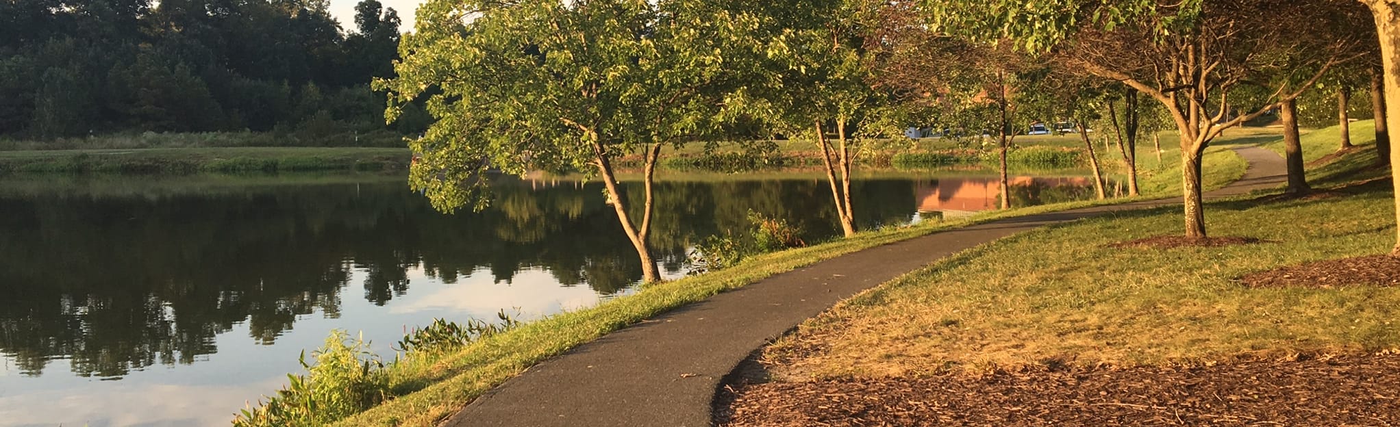 Lake Rooty Trail: 134 Reviews, Map - Virginia | AllTrails