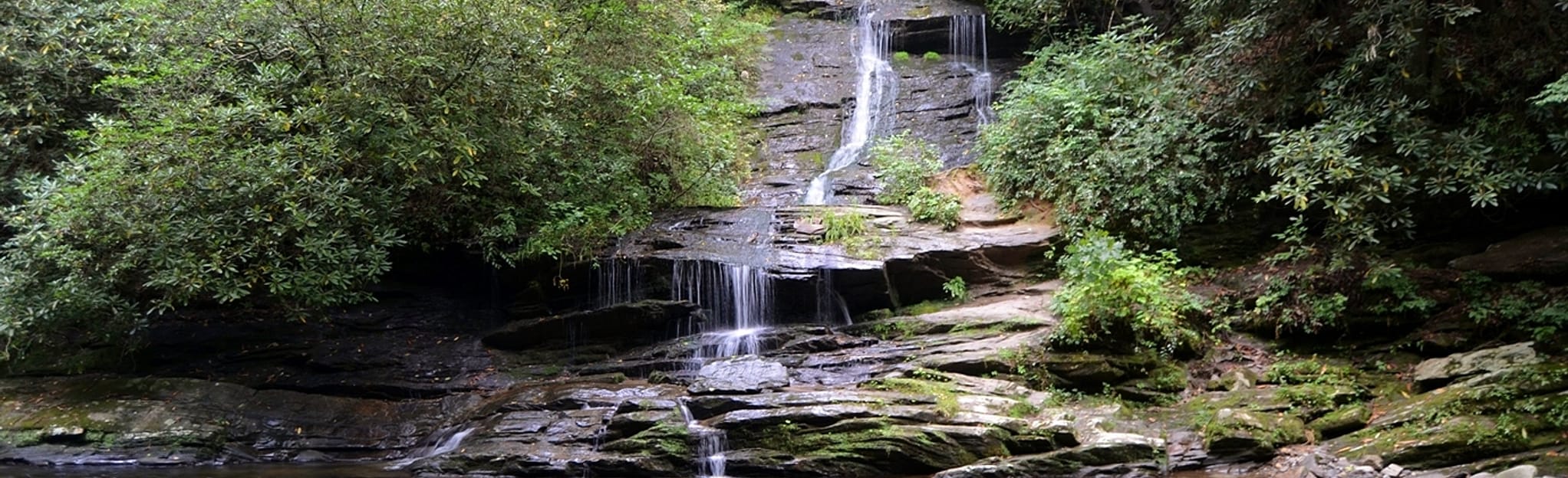 Deep Creek Loop Trail, North Carolina - 2,003 Reviews, Map | AllTrails
