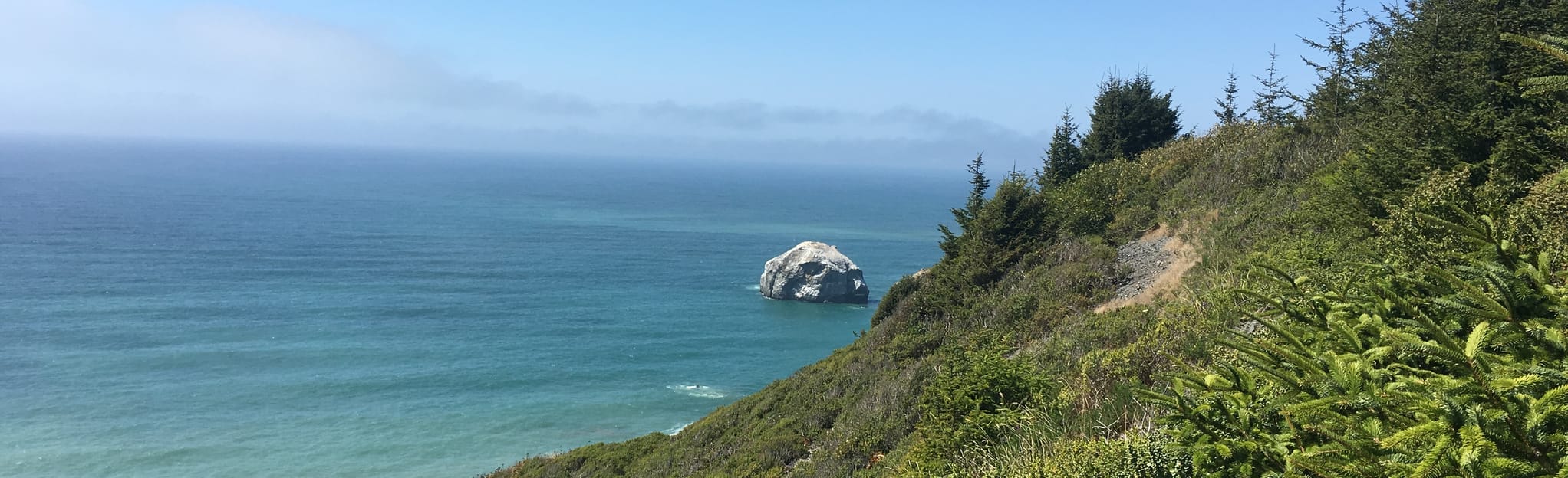 High Bluff Overlooks Trails, California - 36 Reviews, Map | AllTrails