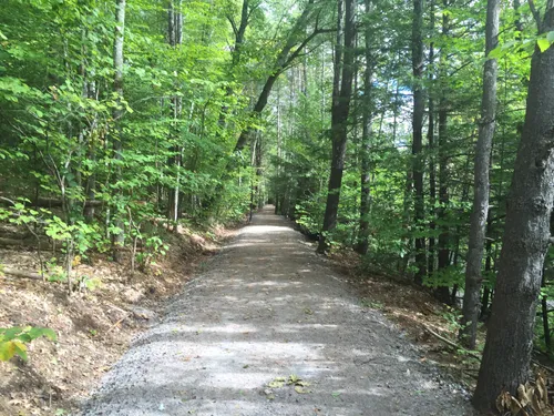 2023 Best Forest Trails in New Boston | AllTrails