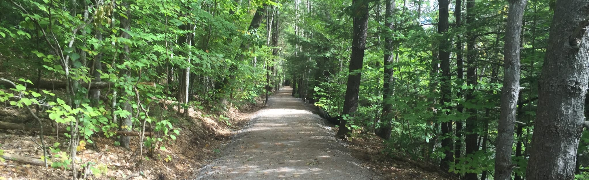 New Boston Rail Trail , New Hampshire - 186 Reviews, Map | AllTrails
