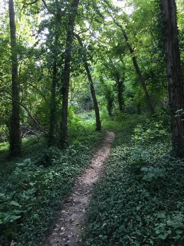 Best Hikes and Trails in Devou Park | AllTrails