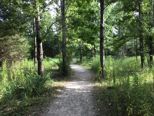 Best Hikes and Trails in Jewel Moore Nature Reserve | AllTrails