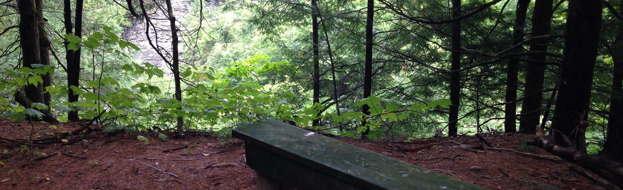 Inman Glide Trail: 134 Reviews, Map - New York | AllTrails